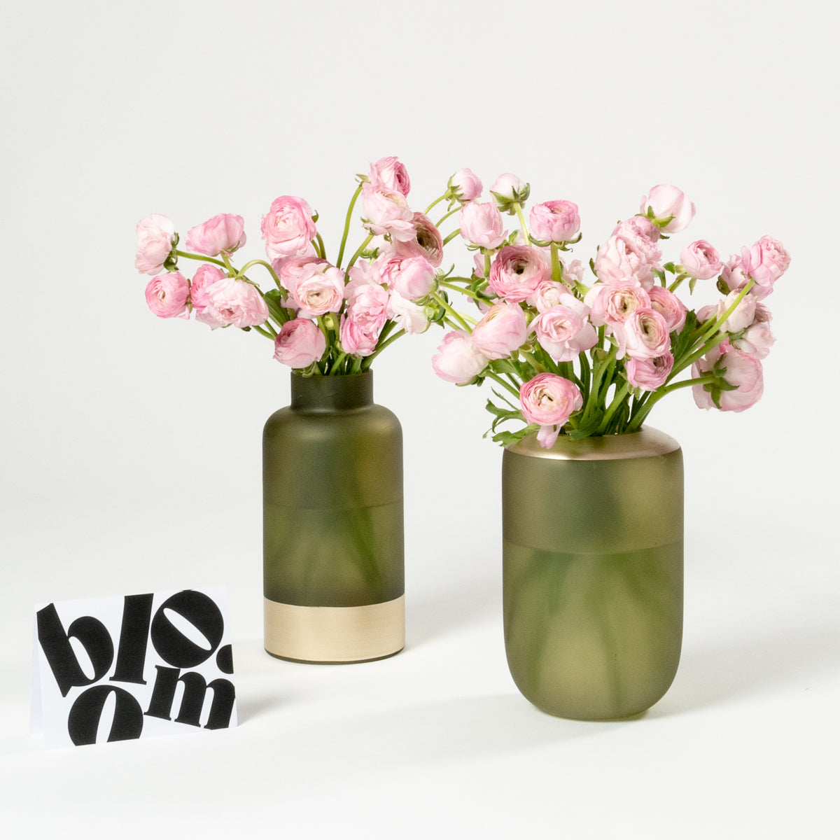 Ballet Slipper Pink Ranunculus – By Bloom