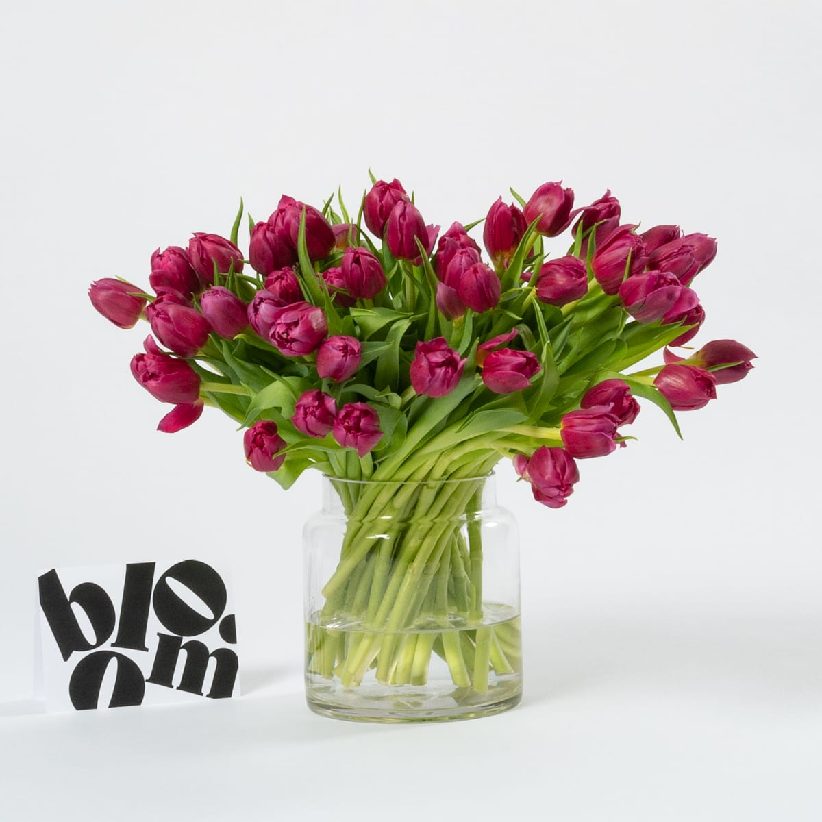 Berry Purple Tulips | Luxury Gift Flowers | Online Florist – By Bloom