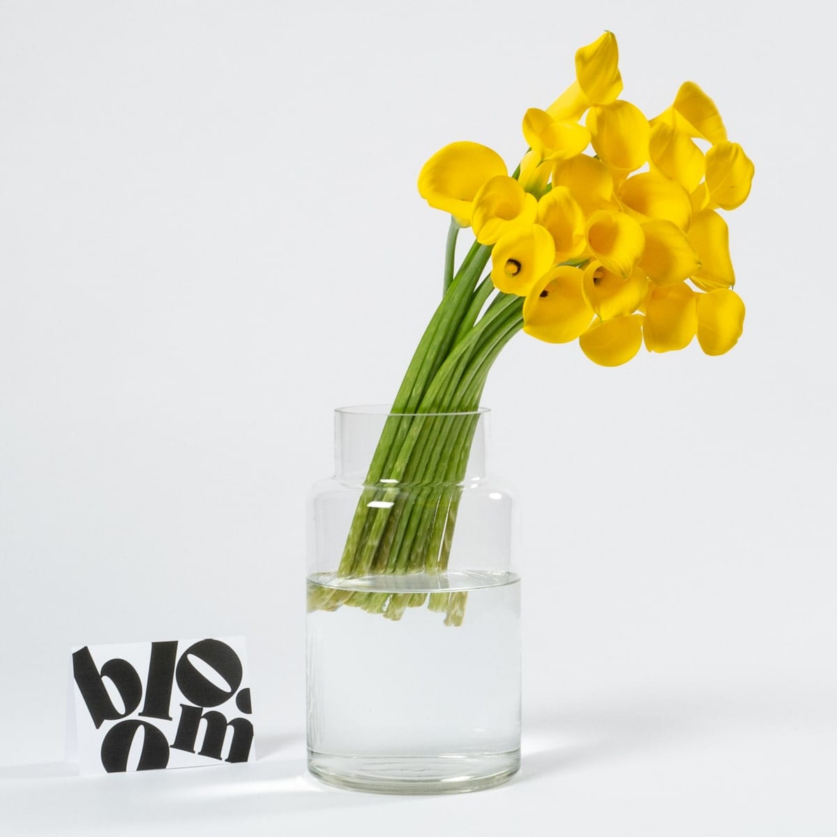 Goldfinch Yellow Calla Lily | Sustainable Flower Delivery | Bloom – By ...
