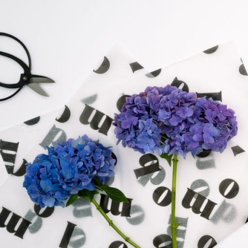 Sustainable Florist | Bloom | The UKs Only 100% Plastic Free Florist ...