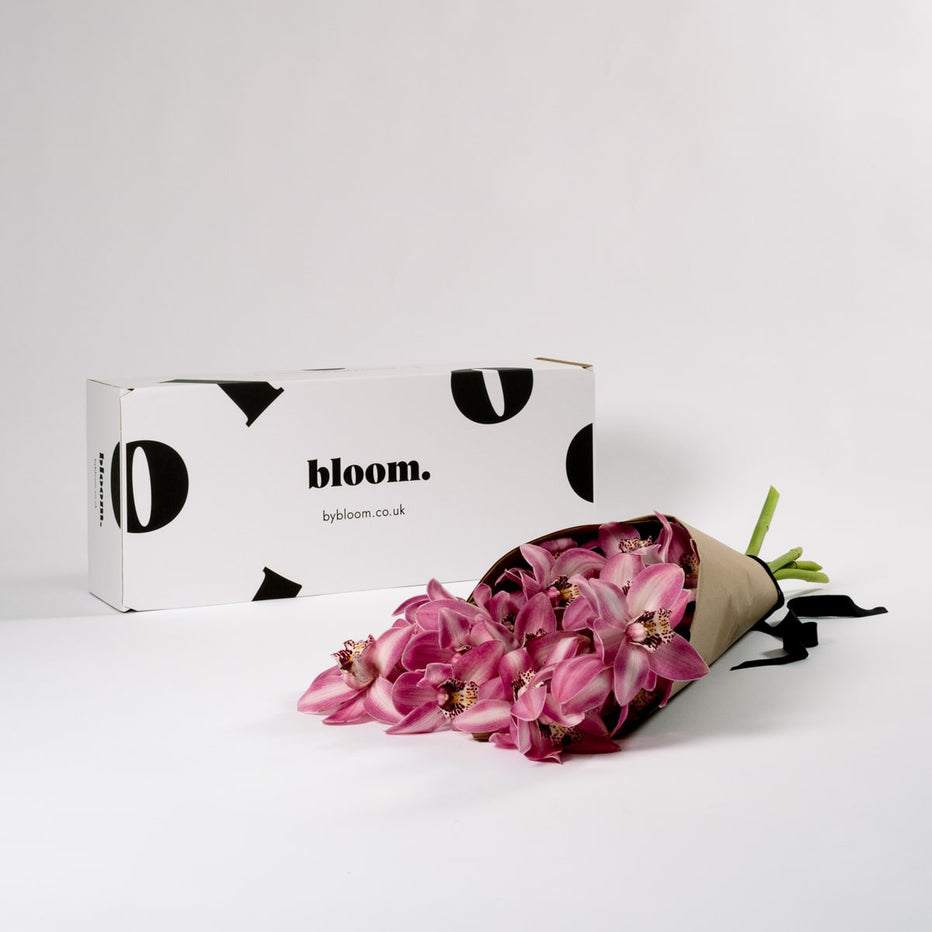Dusky Rose Pink Cymbidium | Sustainable Flower Delivery | Bloom – By Bloom