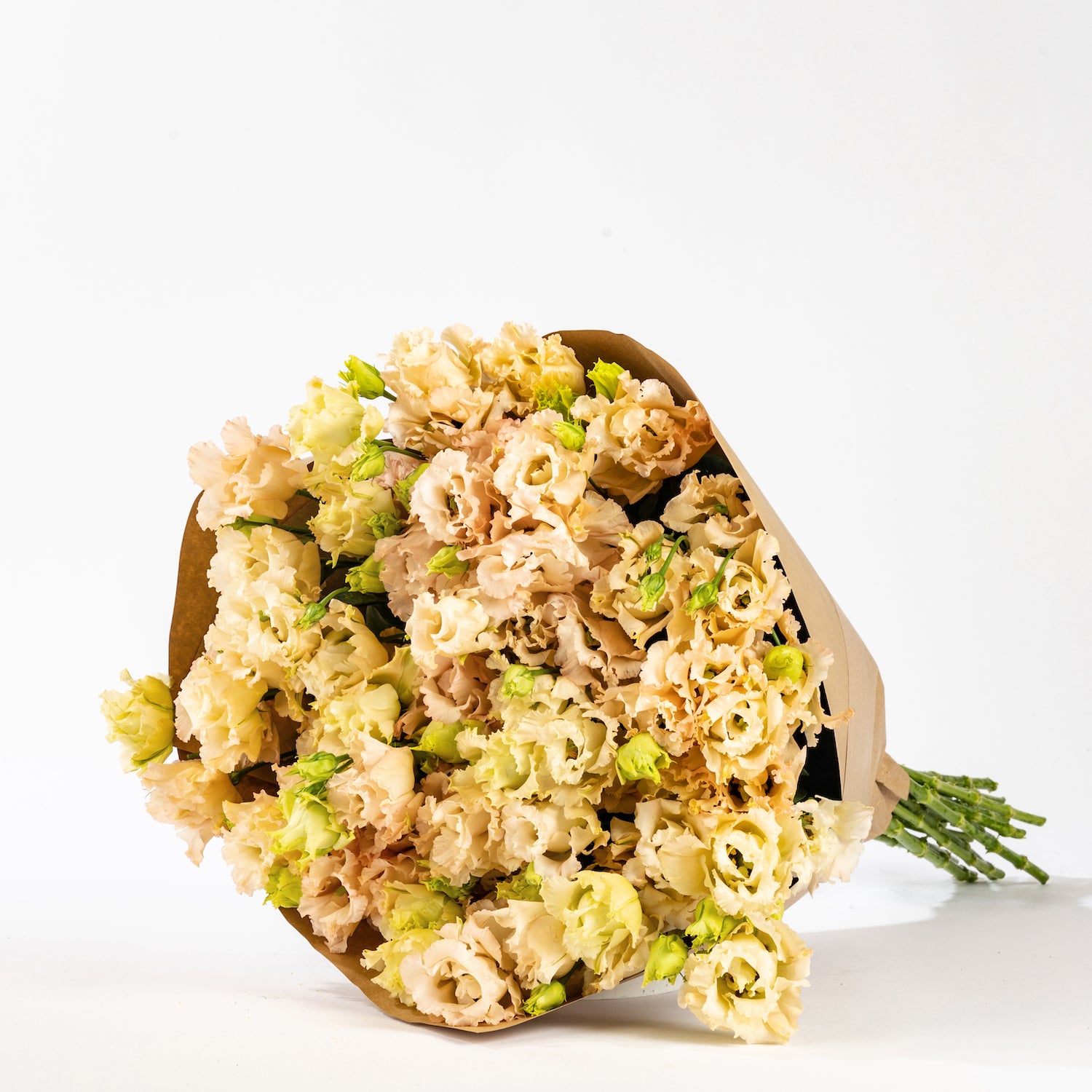 Apricot Pink Lisianthus | Sustainable Florist Online | Bloom – By Bloom