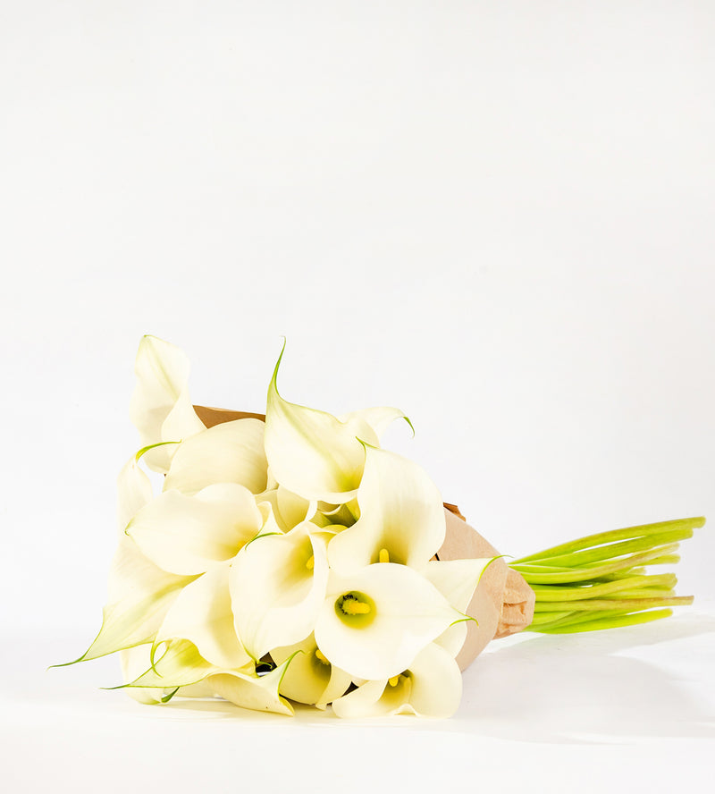 Hartlepool – By Bloom