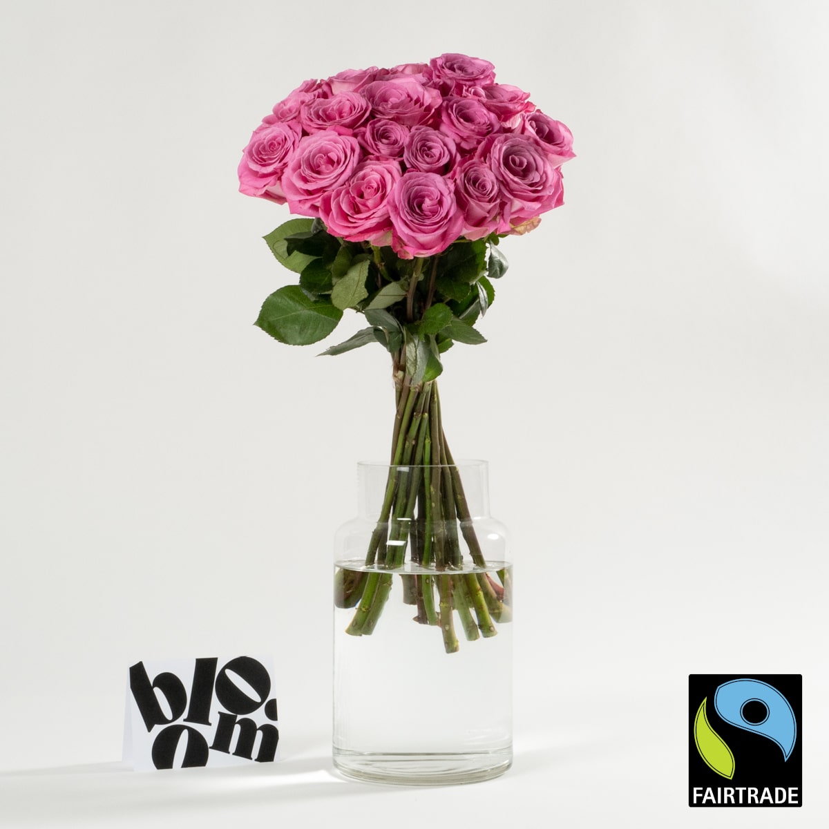 Fairtrade Pink Rose Flower Delivery | Flower Delivery UK | Bloom – By Bloom