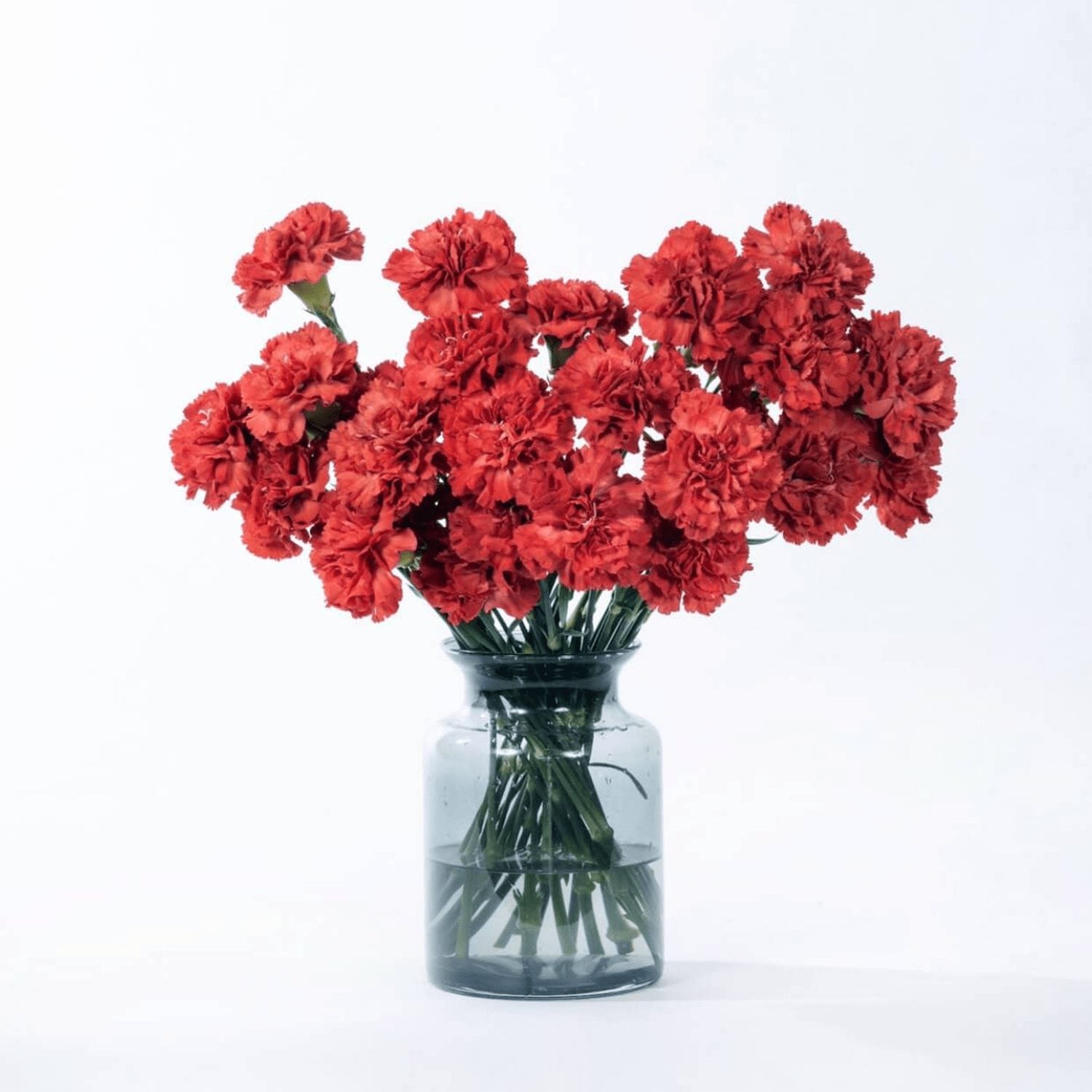 Red Carnations Flower Delivery | UK Flower Delivery | Bloom – By Bloom