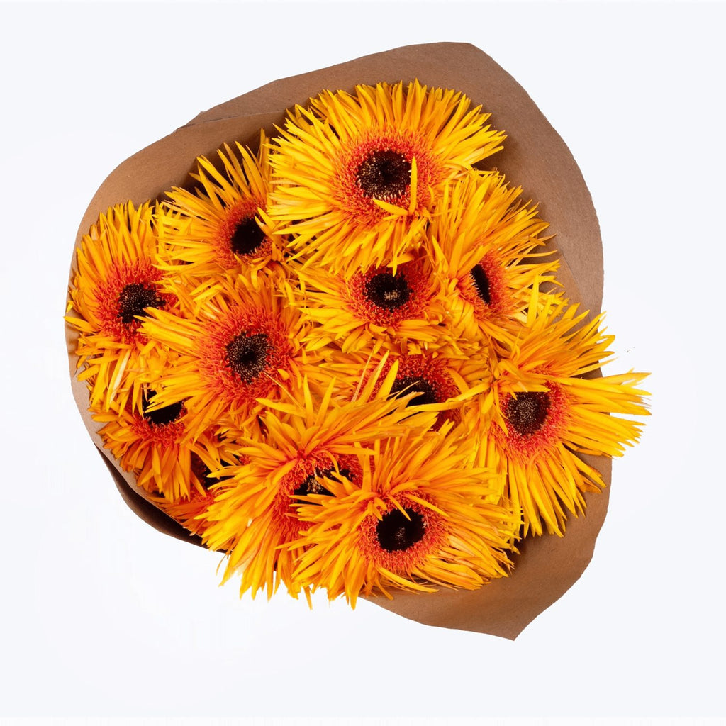 Yellow Spider Gerbera Flower Delivery | Sustainable UK Flower Delivery ...