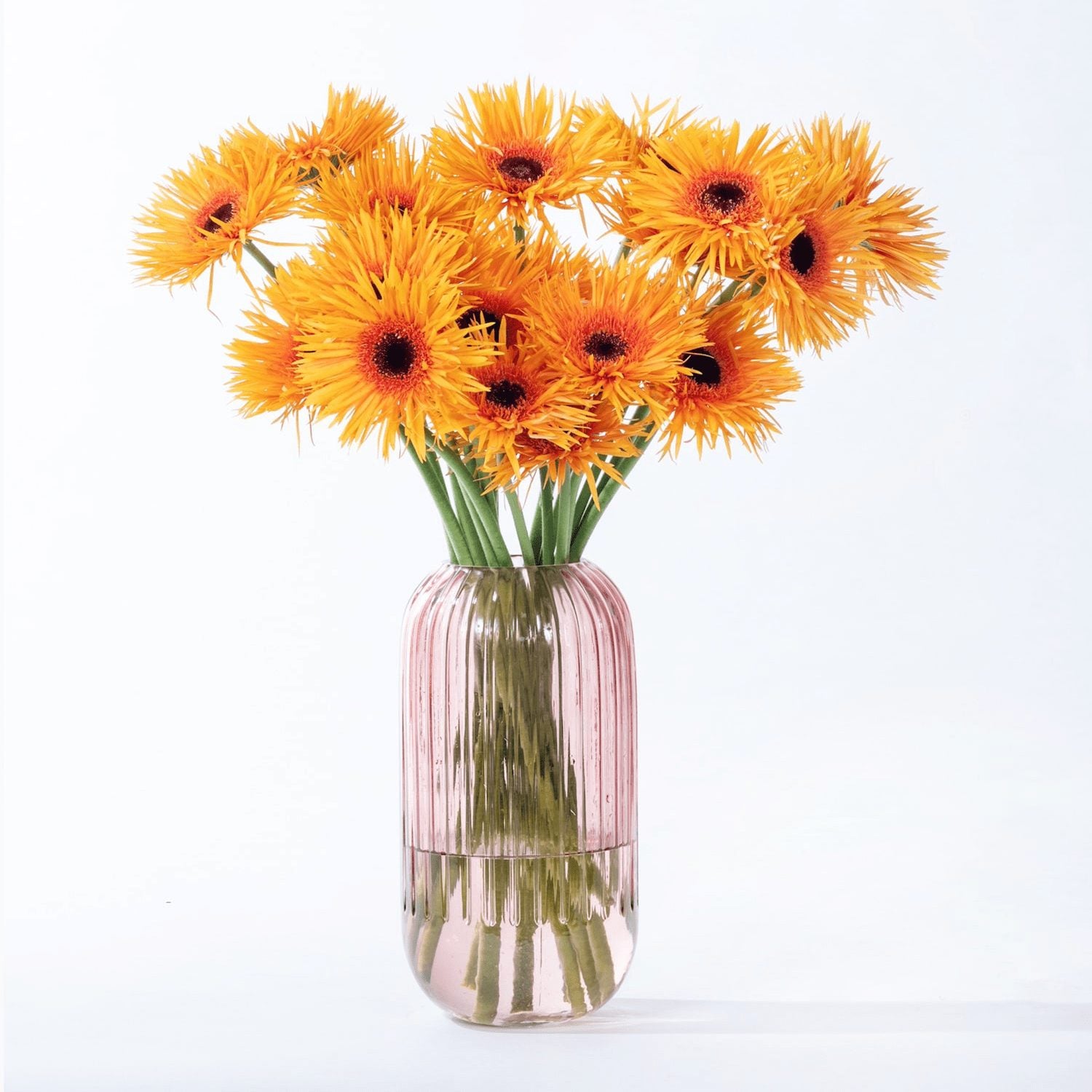 Yellow Spider Gerbera Flower Delivery | Sustainable UK Flower Delivery ...