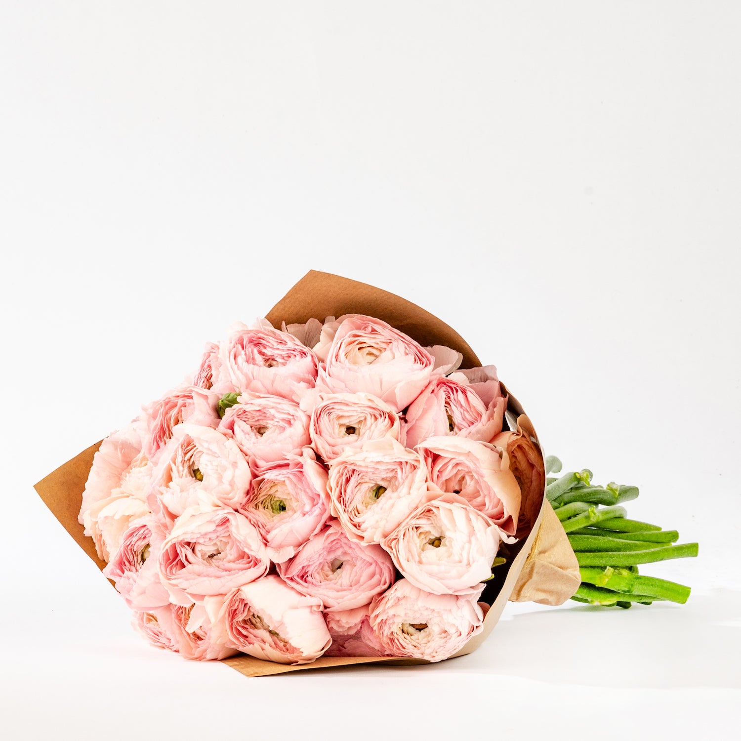 Large headed soft pink Italian Ranunculus | ByBloom | Flower Delivery ...