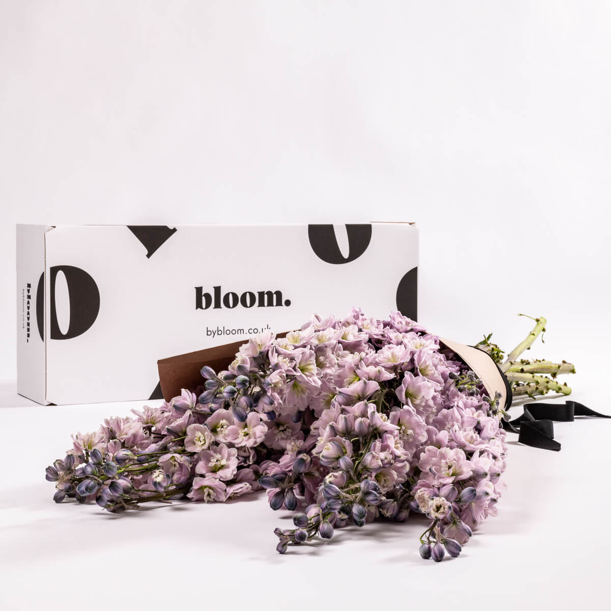 Lilac Delphinium Flower Delivery | UK Flower Delivery | Bloom Flowers ...