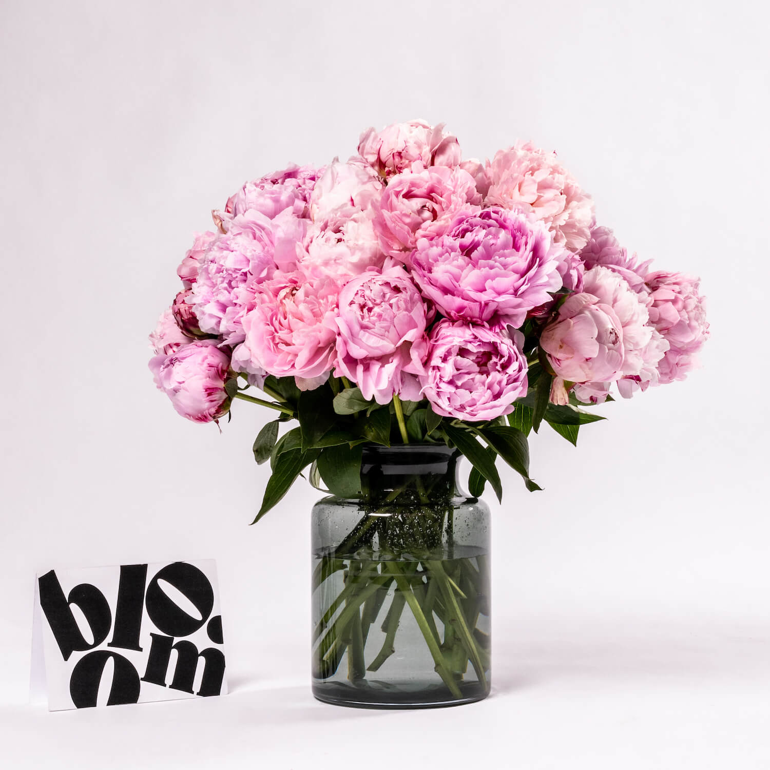 Sarah Bernhardt Peony Flower Delivery | UK Flower Delivery | ByBloom ...